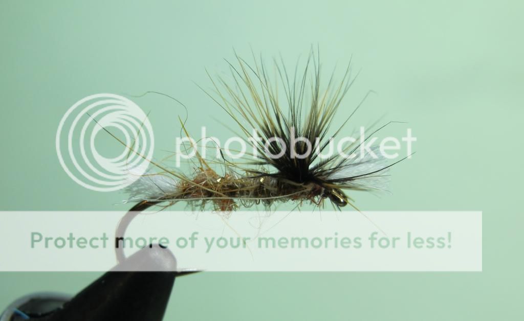Crippled midge Pt2 | Fly Fishing Forum