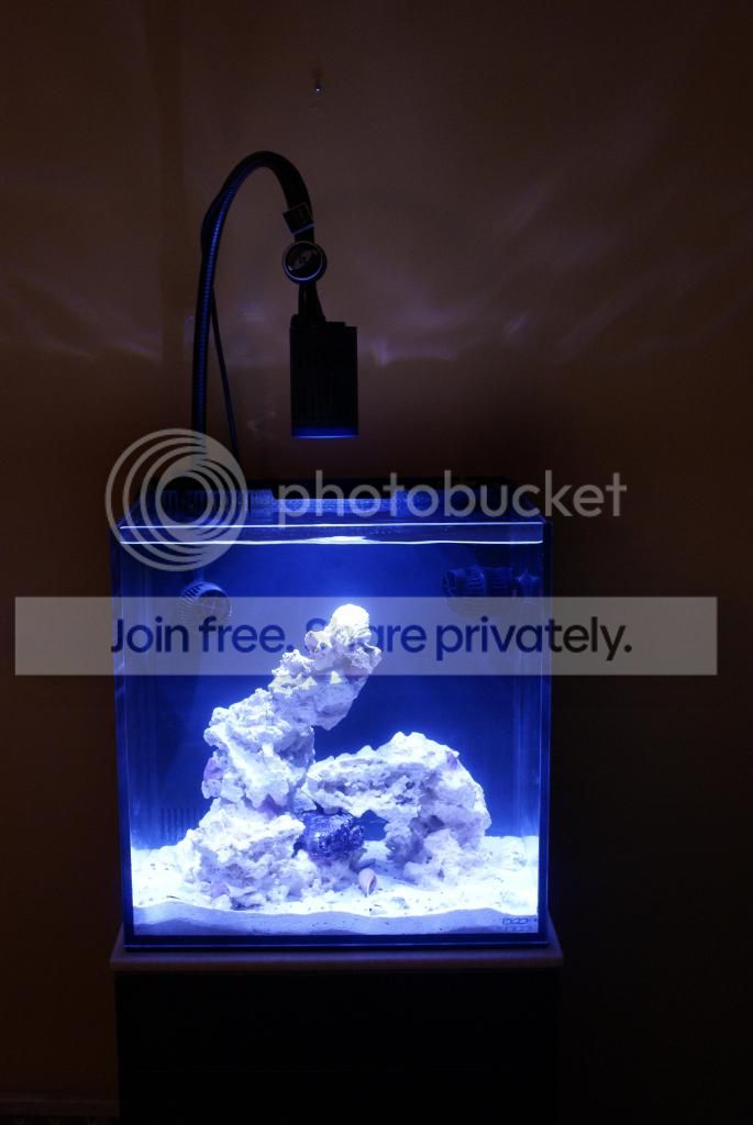 Nano Build - My PicO II build! | Reef2Reef